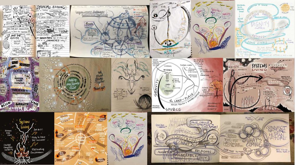 Programs | u-school for Transformation by Presencing Institute