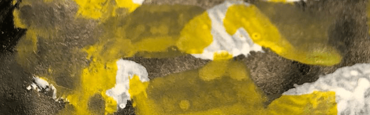 4D Mapping | u-school for Transformation by Presencing Institute