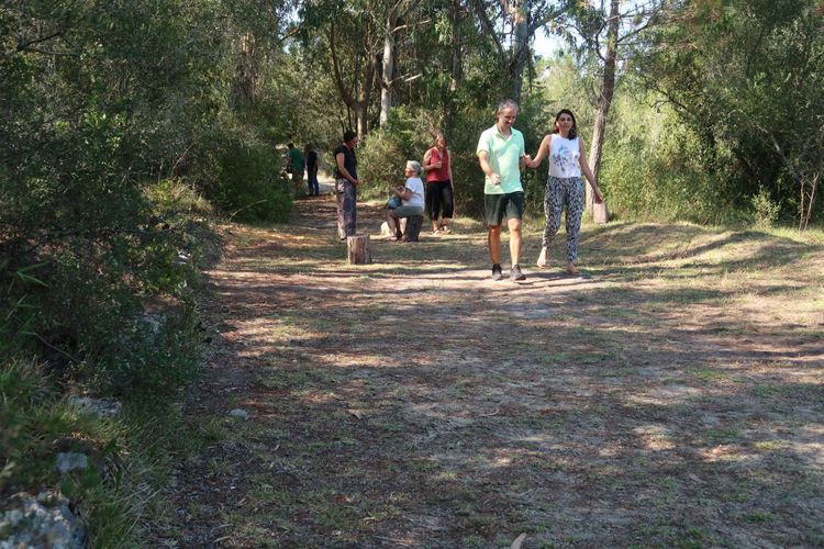 Empathy Walk | u-school for Transformation by Presencing Institute